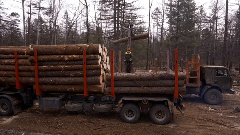Logging Company Stock Footage ~ Royalty Free Stock Videos | Pond5