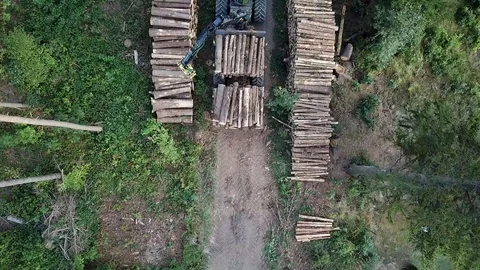 Logging Equipment offloading Wood - area... | Stock Video | Pond5