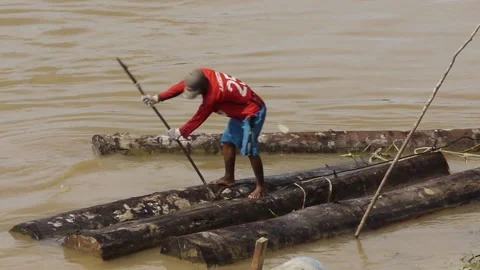 Logging, floating logs on river in Amazo... | Stock Video | Pond5