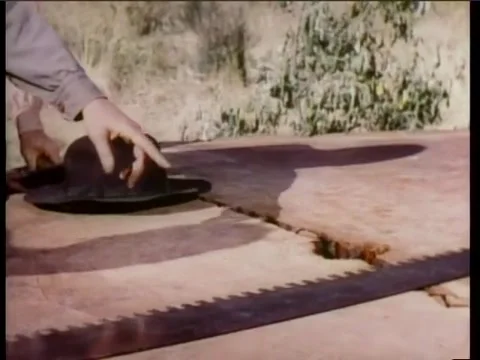 Logging Foreman explaining how to cut la... | Stock Video | Pond5