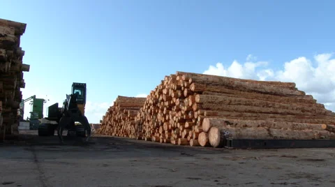 Logging Company Stock Footage ~ Royalty Free Stock Videos | Pond5