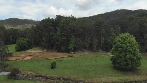 Lumber In Forest Stock Videos – Royalty-Free HD & 4K Videos