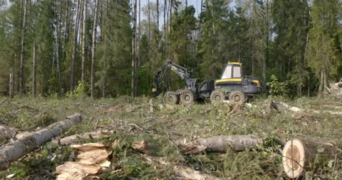 Branching Machine Stock Video Footage | Royalty Free Branching Machine ...