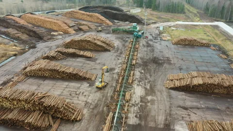A logging machine transports logs to a s... | Stock Video | Pond5