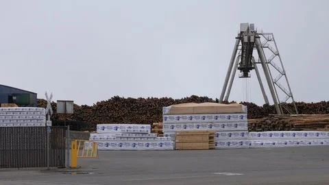 Logging Plant Stock Footage ~ Royalty Free Stock Videos | Pond5