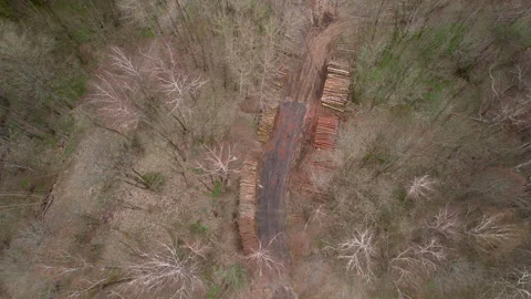 Logging road with logs lined in piles al... | Stock Video | Pond5
