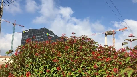 Microsoft Logo Stock Footage ~ Royalty Free Stock Videos | Pond5