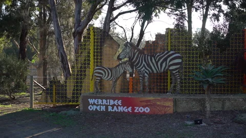 Logo sign of Werribee open range zoo, do... | Stock Video | Pond5