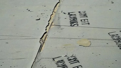 Logo Zeat Stock Videos – Royalty-Free HD & 4K Videos