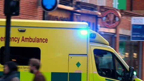 Siren Bush Stock Videos – Royalty-Free HD & 4K Videos