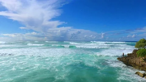 Oahu Turtle Stock Videos – Royalty-Free HD & 4K Videos