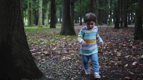 a lonely lost child in the forest, the p... | Stock Video | Pond5
