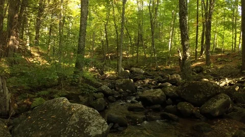 Second Long Shot Stock Videos – Royalty-Free HD & 4K Videos | Pond5