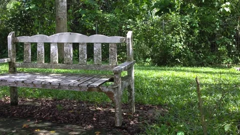 Long chair camera pan from right to left | Stock Video | Pond5