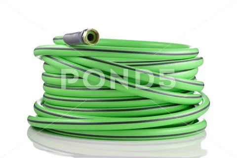 Photograph: Long garden hose rolled-up isolated on white background ...