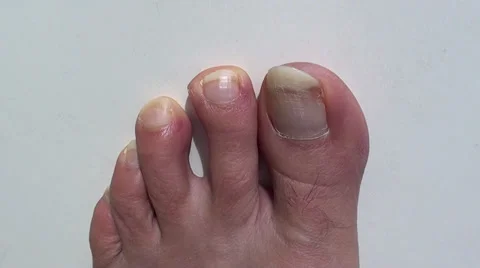 5$ Foot Long Stock Videos – Royalty-Free HD & 4K Videos