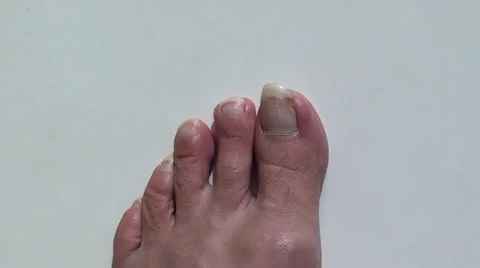 5$ Foot Long Stock Videos – Royalty-Free HD & 4K Videos