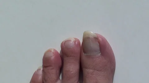 5$ Foot Long Stock Videos – Royalty-Free HD & 4K Videos