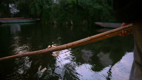 Long stick on peaceful water with trees ... | Stock Video | Pond5
