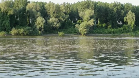 Long-tailed mayflies flying over Tisza r... | Stock Video | Pond5
