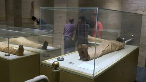 A Look Inside Mummy Room At The Egyptian... | Stock Video | Pond5