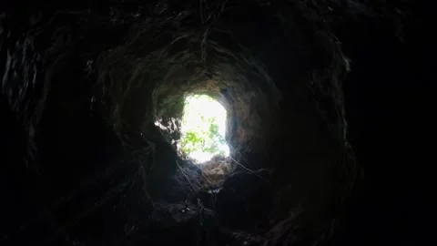 Looking Deep Inside Stock Videos – Royalty-Free HD & 4K Videos