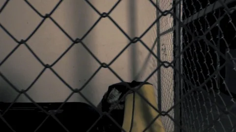 Looking Around the Corner in a Creepy Ha... | Stock Video | Pond5