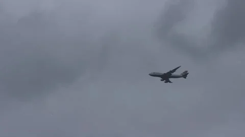 Boing B Stock Videos – Royalty-Free HD & 4K Videos | Pond5