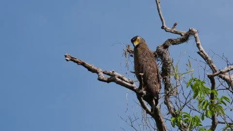 Looking down below from where it was per... | Stock Video | Pond5