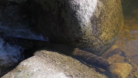 Looking down at a log blocking the way b... | Stock Video | Pond5