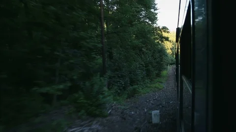 looking out of train window at passing t... | Stock Video | Pond5