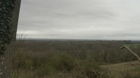 Looking Over Top Of Trees Spring England... | Stock Video | Pond5