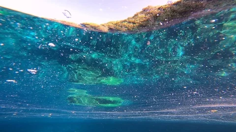 looking up through the water surface on ... | Stock Video | Pond5
