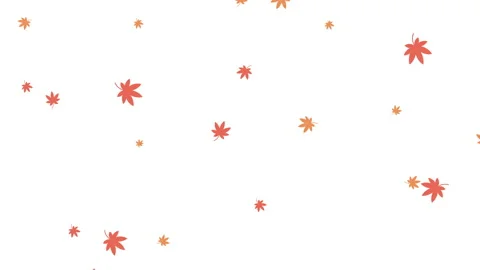 Loop animation of autumn Japanese maple ... | Stock Video | Pond5