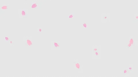 Loop animation of cherry blossoms fallin... | Stock Video | Pond5