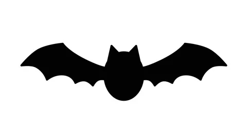 Loop animation of flapping bat silhouett... | Stock Video | Pond5