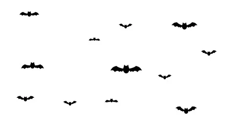 Loop animation with many bats flying in ... | Stock Video | Pond5