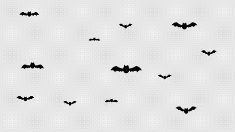 Loop animation with many bats flying in ... | Stock Video | Pond5