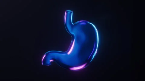 Stomach Animation Stock Videos – Royalty-Free HD & 4K Videos | Pond5