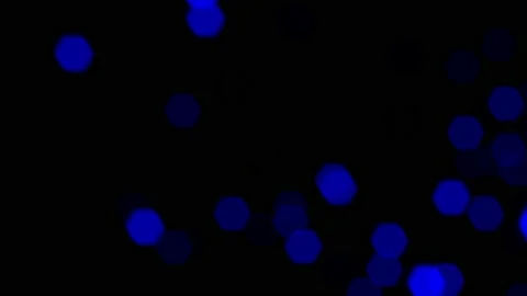 Loop blue bokeh flow animation abstract ... | Stock Video | Pond5