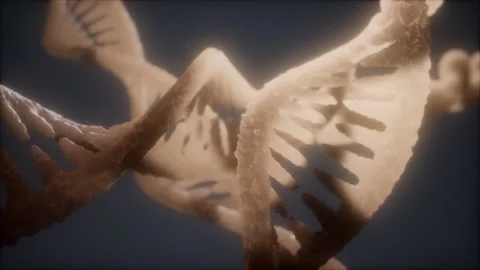 loop double helical structure of dna str... | Stock Video | Pond5