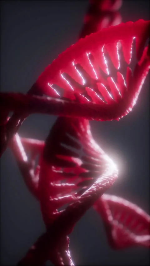 loop double helical structure of dna str... | Stock Video | Pond5