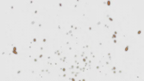 Loop fire ash sparks rising isolated alp... | Stock Video | Pond5