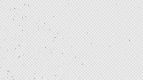 Loop fire particles flow downon black b... | Stock Video | Pond5