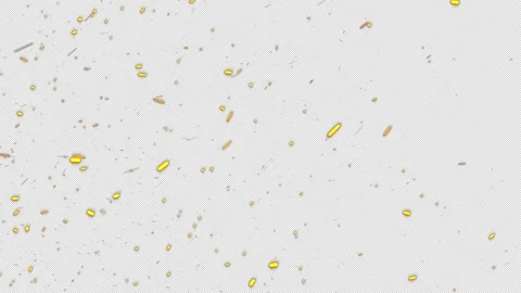 Loop fire particles rising for project s... | Stock Video | Pond5