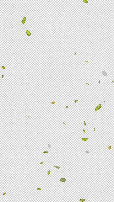 Loop Green falling leaves on alpha chan... | Stock Video | Pond5