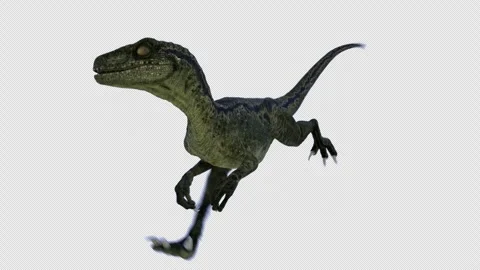 Loop of Realistic Raptor Dinosaur on a T... | Stock Video | Pond5
