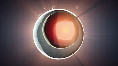 loop rotate cell division illustration | Stock Video | Pond5