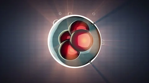 loop rotate cell division illustration | Stock Video | Pond5