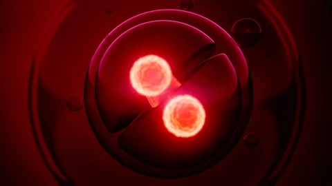 loop rotate cell division illustration | Stock Video | Pond5